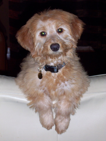 David Larson - Lawyer in Saint Paul, MN - Avvo