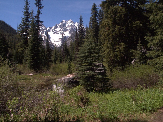 Shannon Fitzpatrick Profile - Minneapolis, MN Family Lawyer