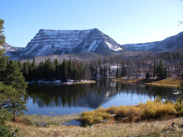 Dustin Bergman Profile - Denver, CO Litigation Lawyer