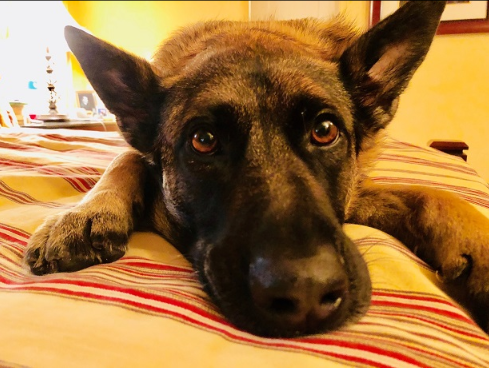 Stephen Rodriguez Profile - Los Angeles, CA Criminal Defense Lawyer