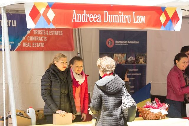 Andreea Parcalaboiu Profile - New York, NY Family Lawyer