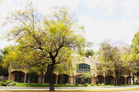 Blake Thompson - Lawyer in Claremont, CA - Avvo