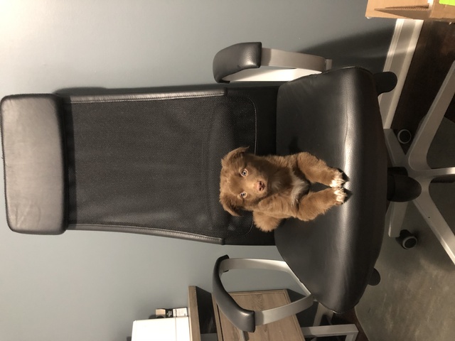 Ronald Hilley Profile - Atlanta, GA Estate Planning Lawyer