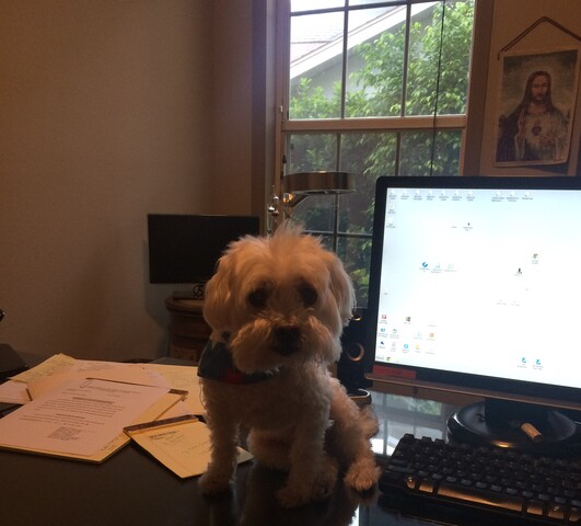 Timothy Grogan - Lawyer in Bradenton, FL - Avvo