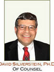 David Silverstein Profile - Mashpee, MA Litigation Lawyer